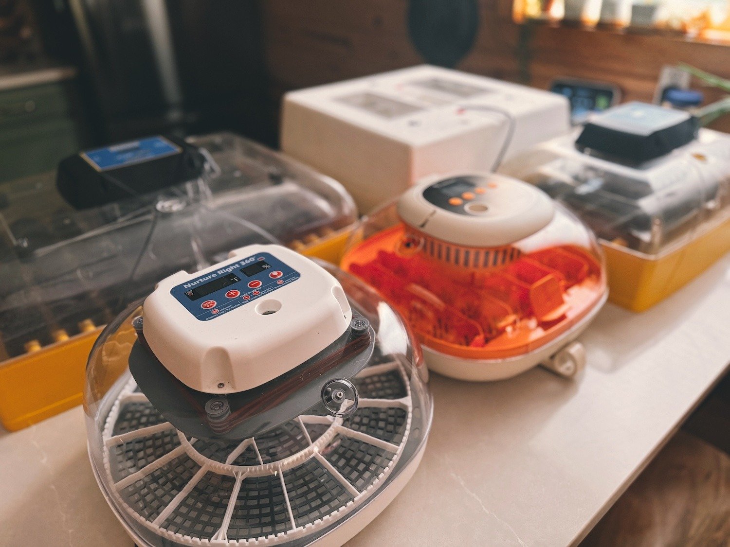 Top 10 Best Egg Incubators 2026 – LivingHive